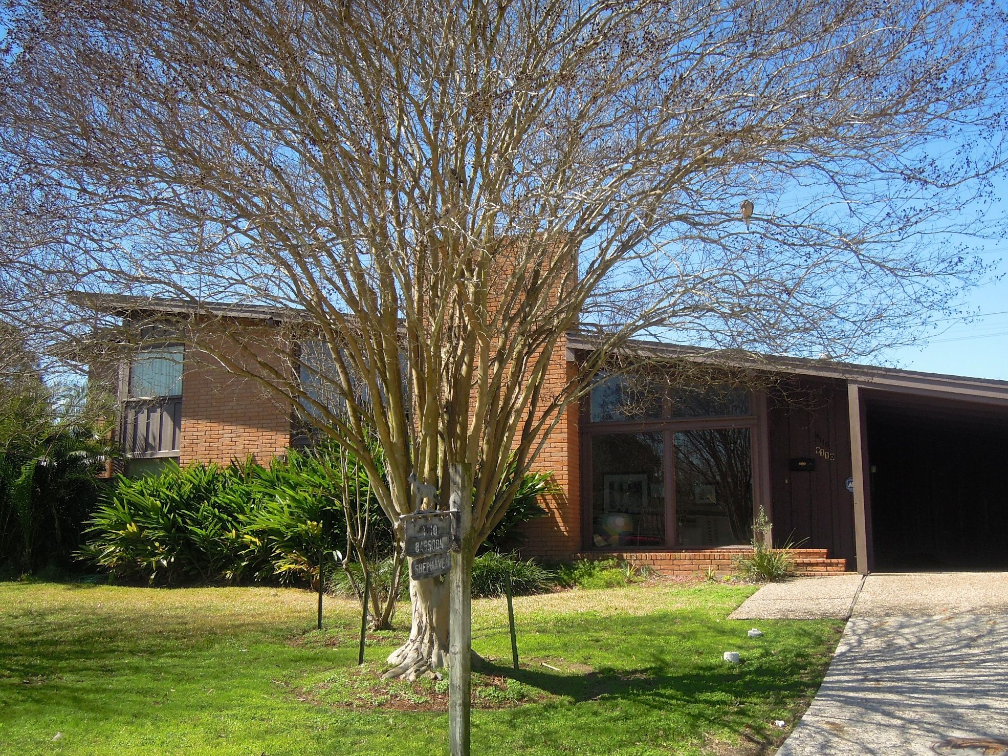 Finkelstein House - HoustonMod